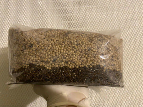 Automatic Grow Kit - Shithpn